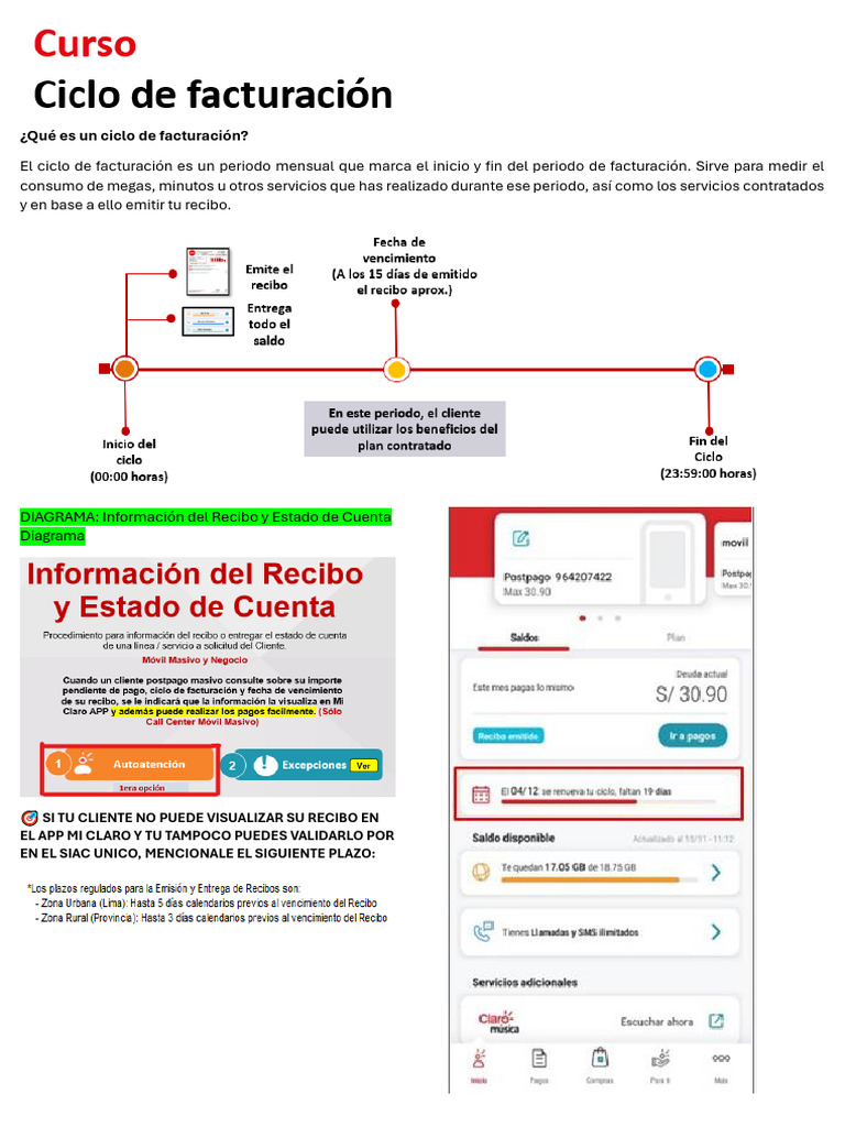 Ciclo De Facturación Pdf