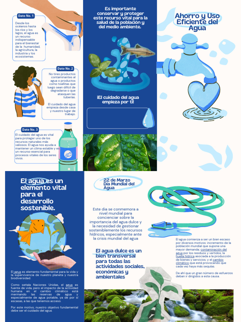 Flyer Ahorro y Uso Del Agua | PDF | Agua | Contaminación