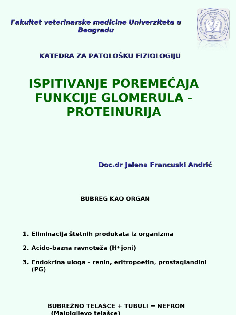 Vezba_X_XI_2020-2 | PDF