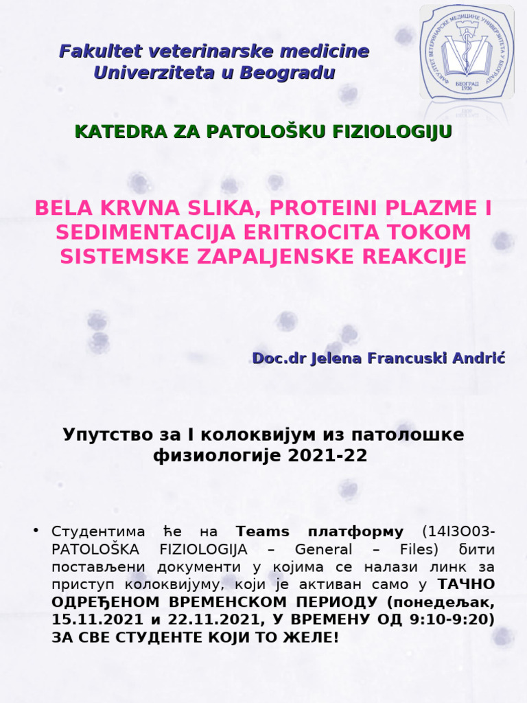 Vezba V VI | PDF