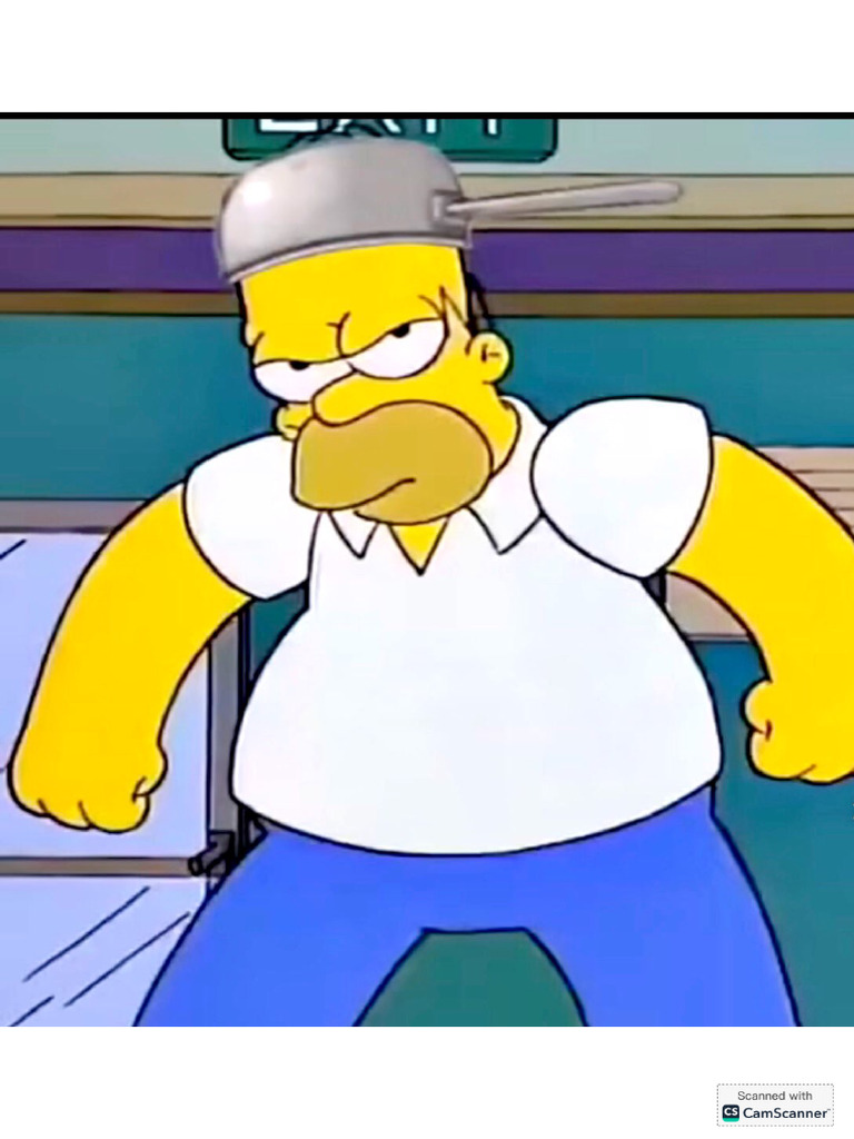Homero enojado con un balde en la cabeza | PDF
