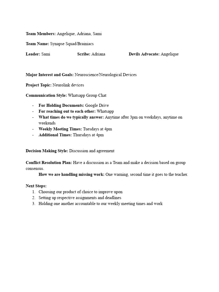 Team 1 Document | PDF