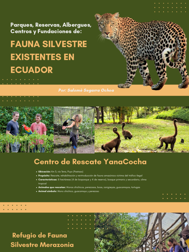 Diapositivas Reservas de Fauna Silvestre Existentes en Ecuador. | PDF ...