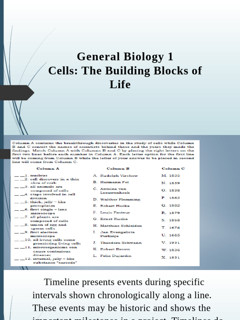 Creating Effective Cell Timelines | PDF | Cell (Biology) | Eukaryotes
