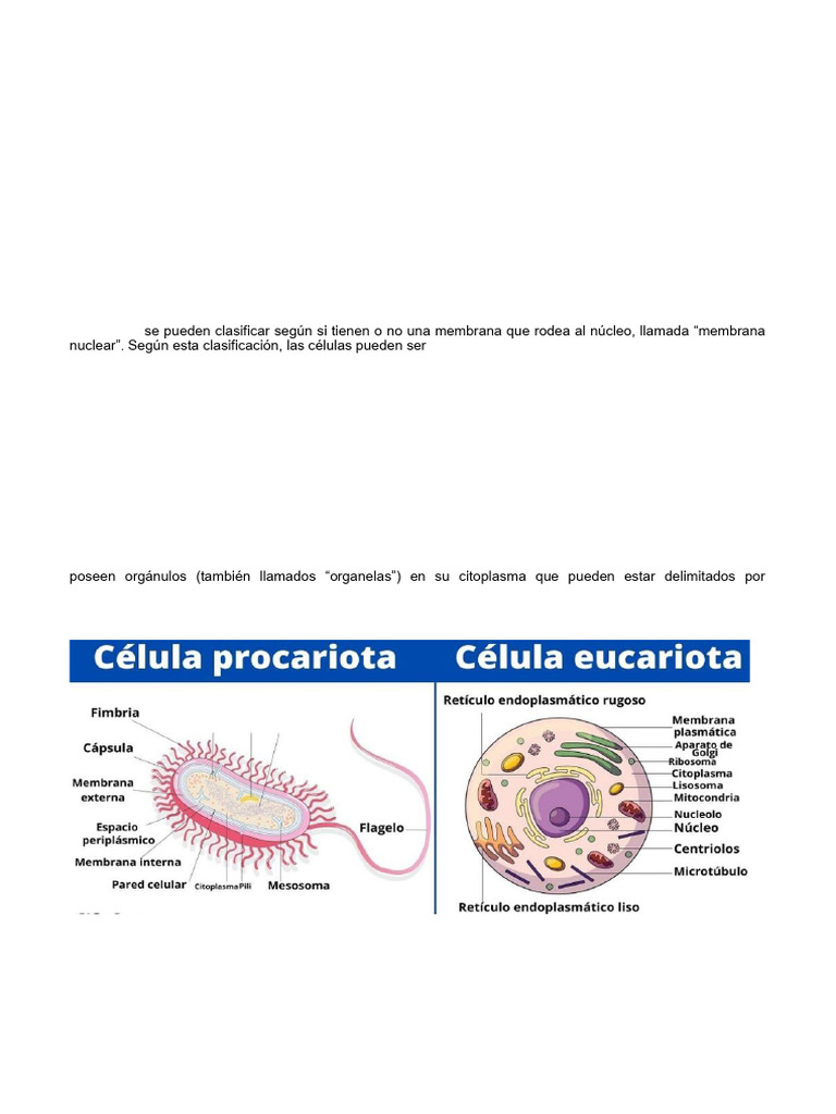 Estructura y Funciones de la Célula | PDF | Biología Celular) | Citoplasma