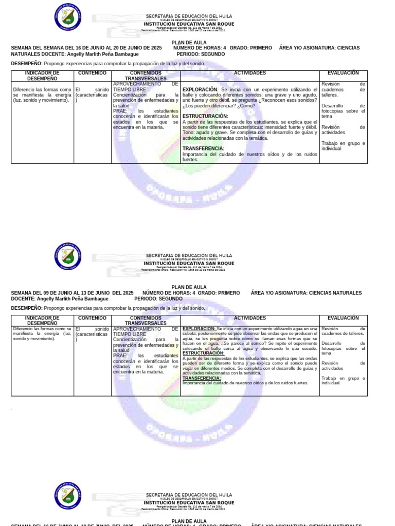 Plan de Aula Junio Grado Primero 2025 Ciencias Naturales | PDF | Sonido ...