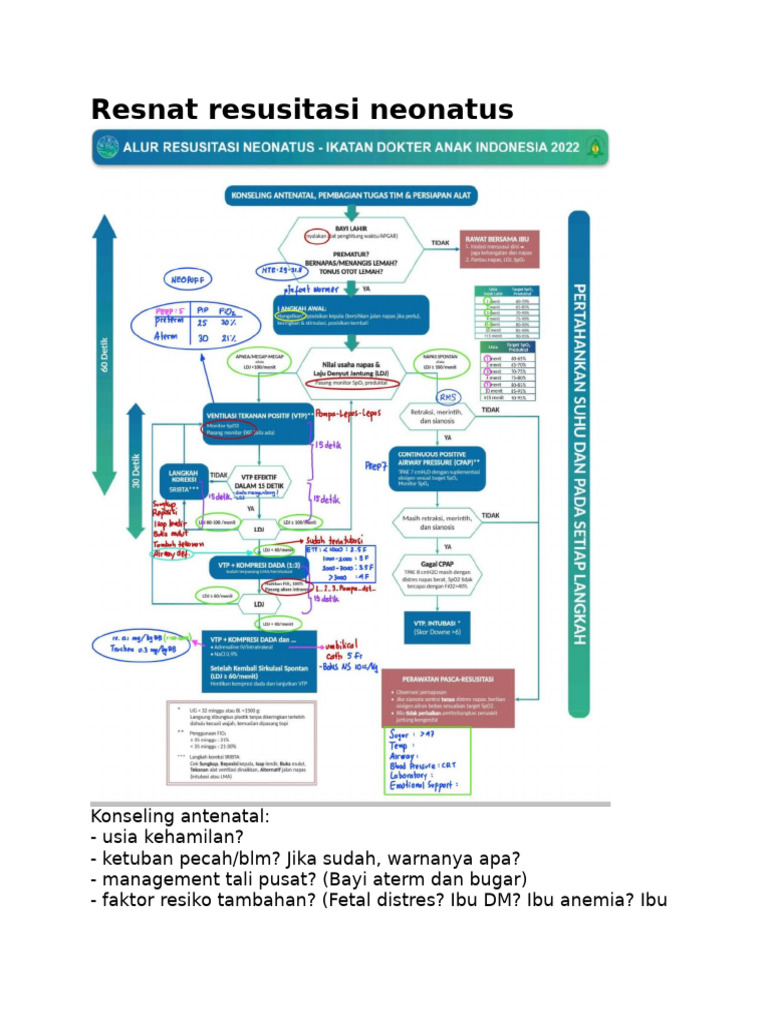 Prosedur Resusitasi Neonatus | PDF