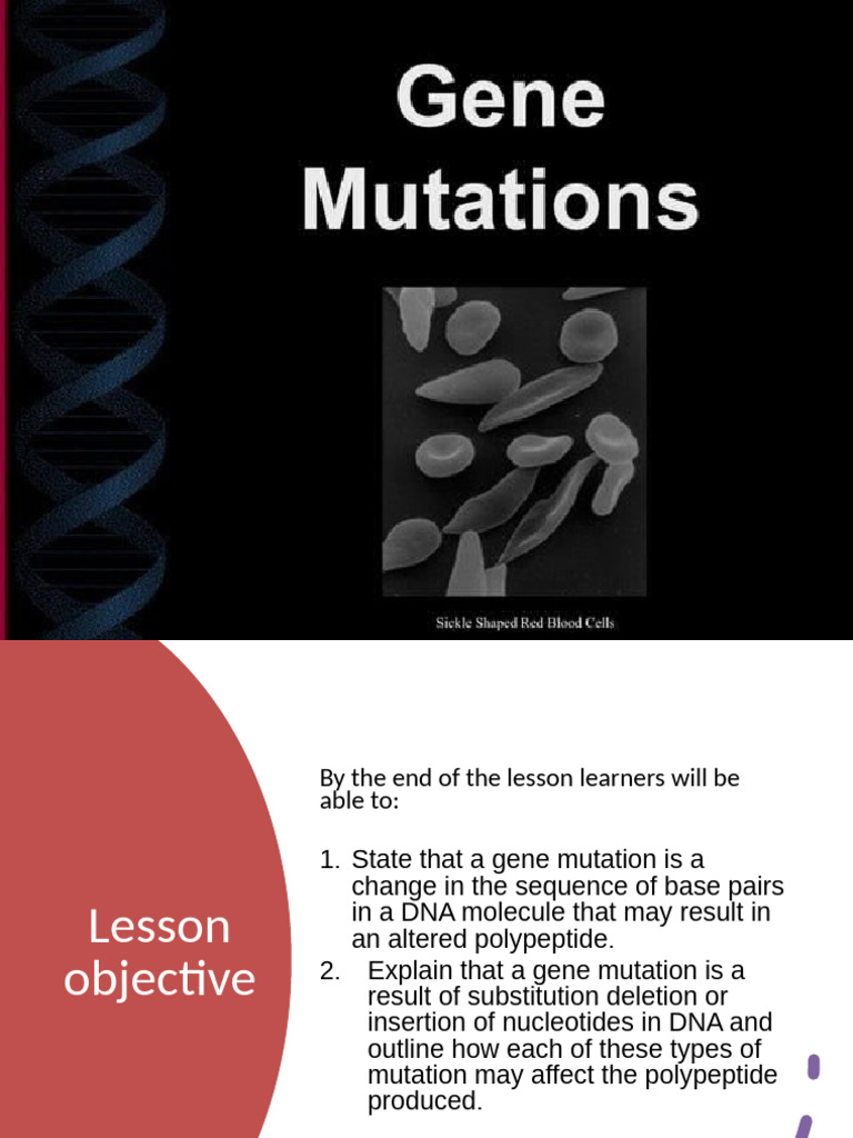 Understanding Gene Mutation Types | PDF