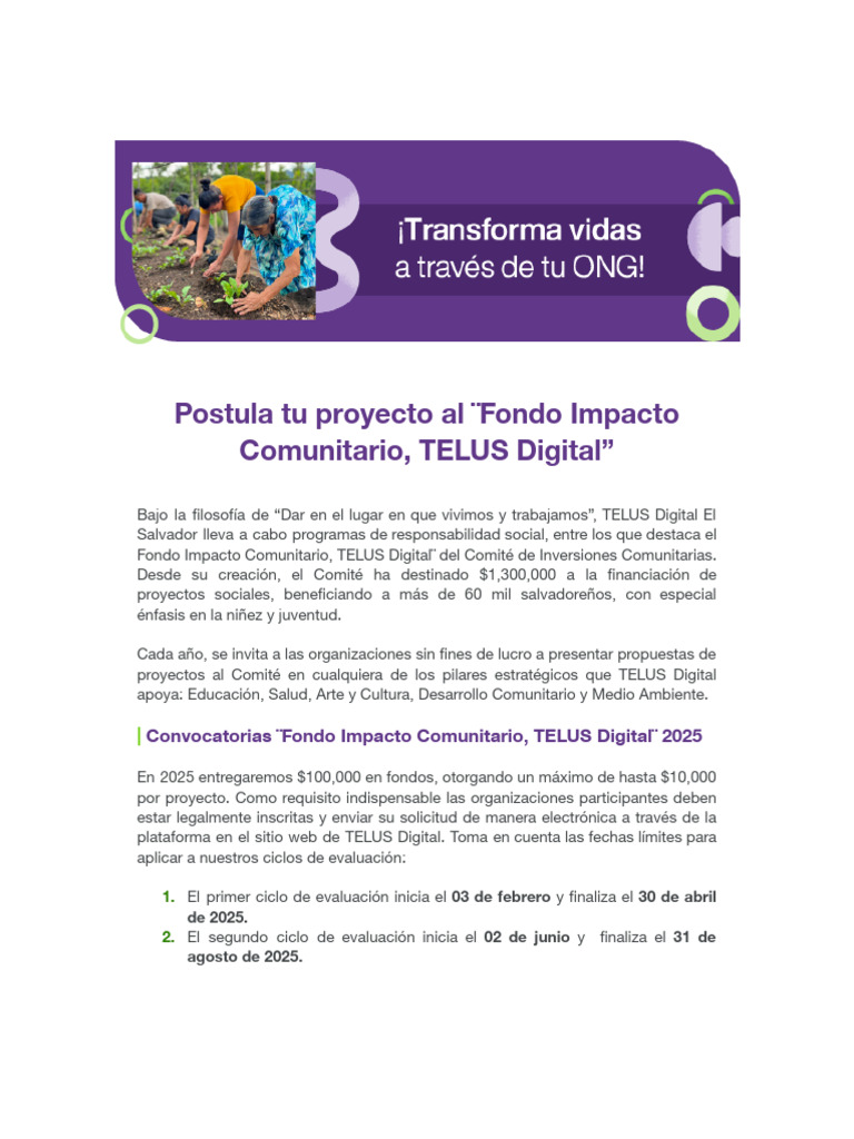 Fondo Impacto Comunitario TELUS Digital - Guia de Aplicacion | PDF
