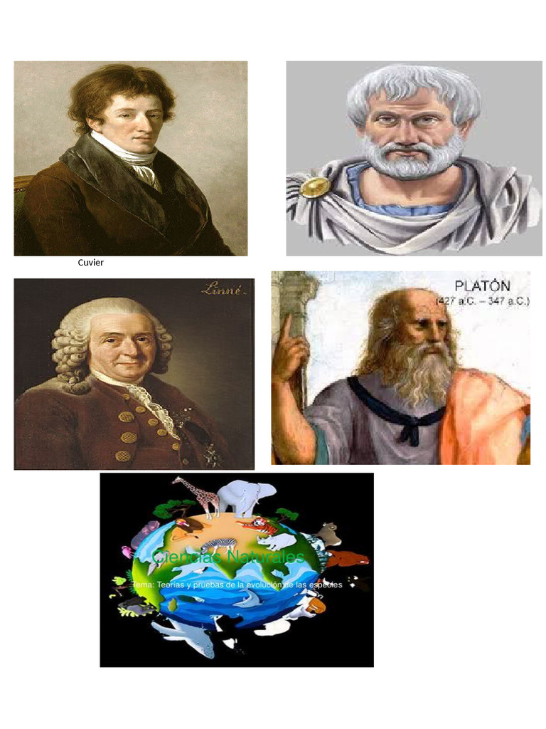 Cuvier | PDF