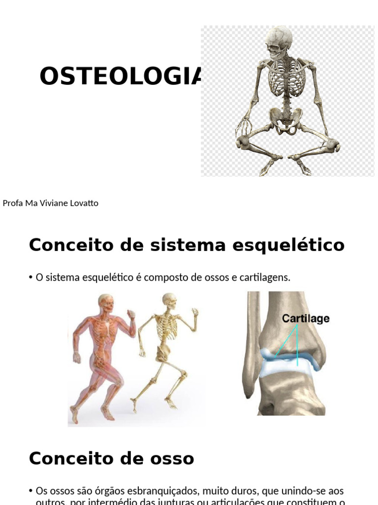 OSTEOLOGIA | PDF | Osso | Esqueleto
