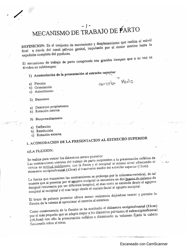 Mecanismo de Parto DR Luis Arce | PDF