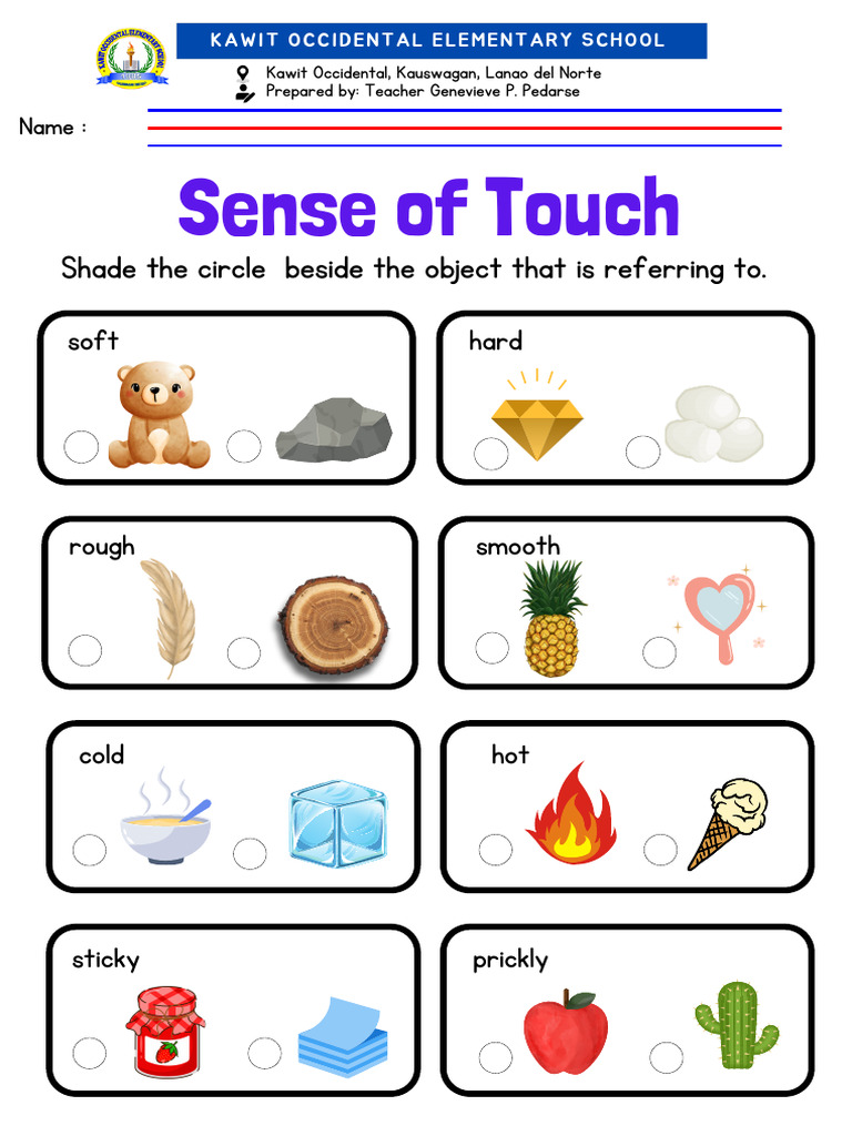 Sense of Touch | PDF