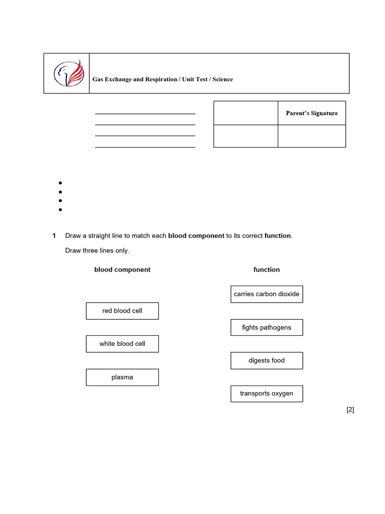 Gas Exchange and Respiration Test Guide | PDF | Respiratory System | Lung