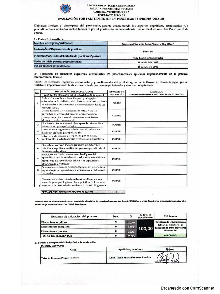 Formato 11 - Emily Ojeda | PDF