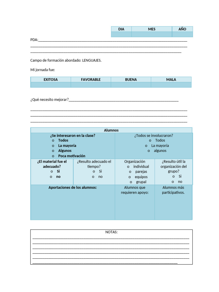 Formato Diario | PDF