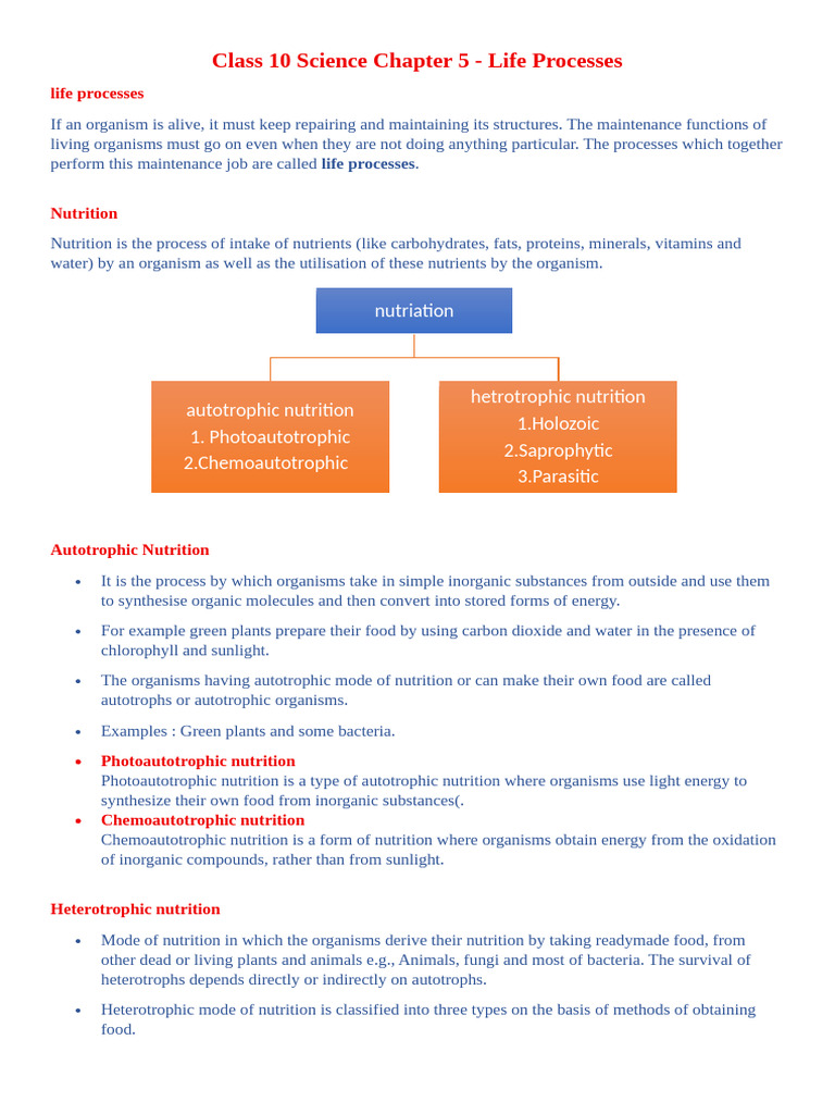 Class 10 Science Chapter 5 - Life Processes | PDF | Nutrition | Diet ...