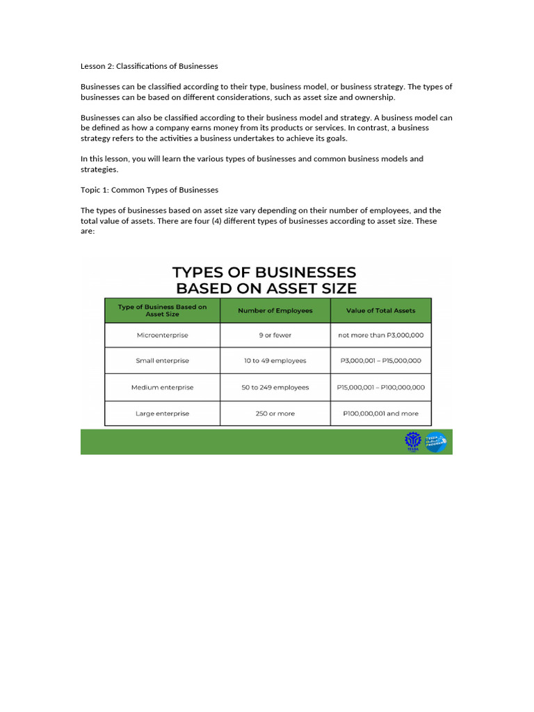 Business Classifications and Models | PDF