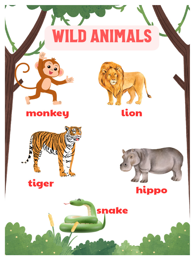 Colorful Illustrative Zoo Animals Worksheet (1) | PDF