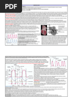 Fisiología Cardíaca: Inotropismo y Más | PDF
