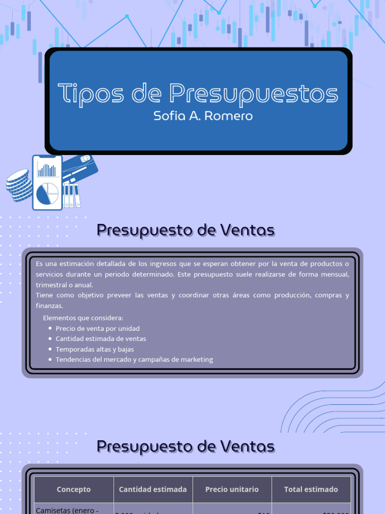 Tipos de Presupuestos | PDF | Presupuesto | Business