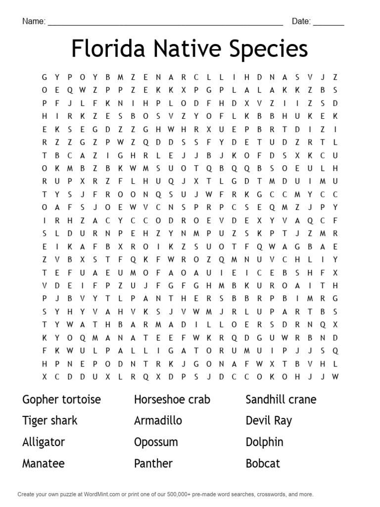 Florida Native Species Word Search | PDF | Puzzles | Word Puzzles