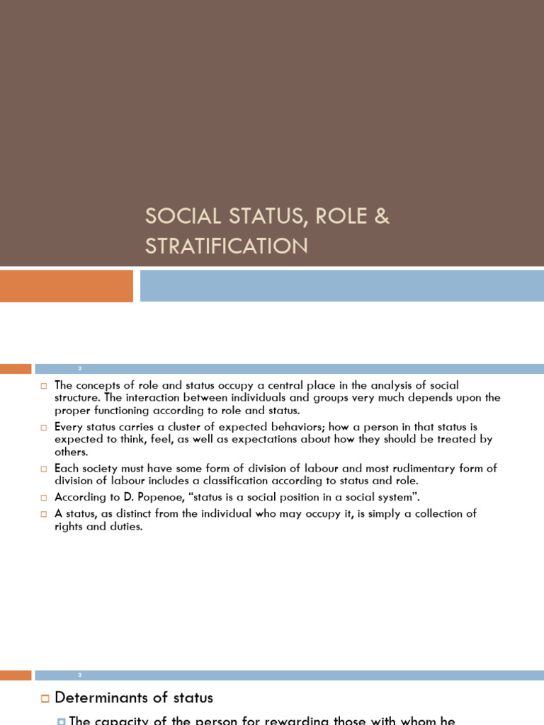 Status and Role in Social Stratification | PDF | Social Stratification ...