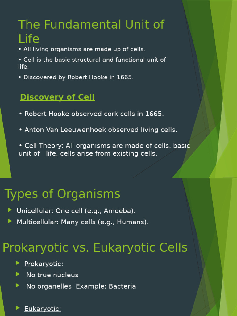 Fundamental Unit of Life Class9 Final | PDF