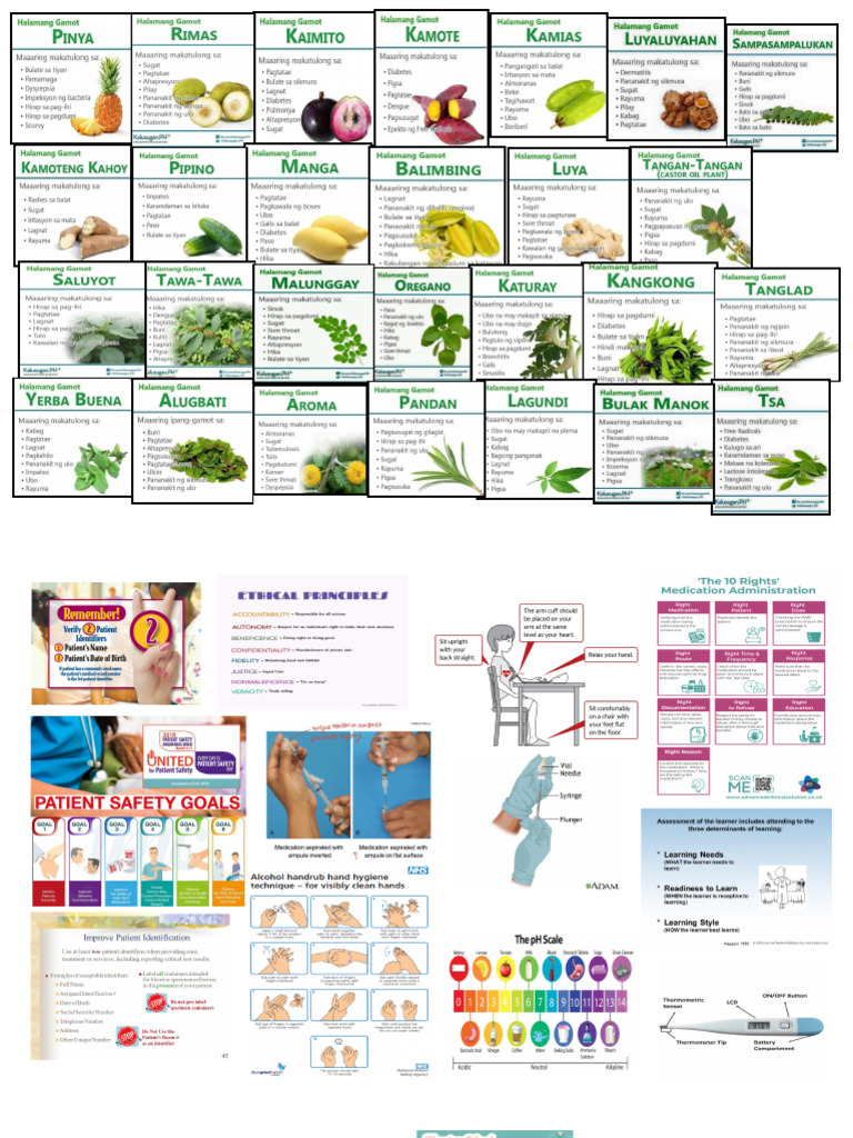 Herbal | PDF