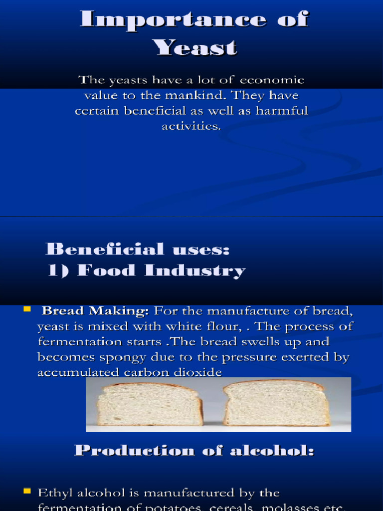 Uses of Fungi | PDF