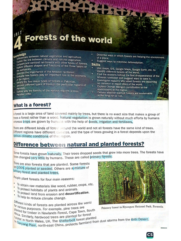 Forest of the World - Page 1 | PDF