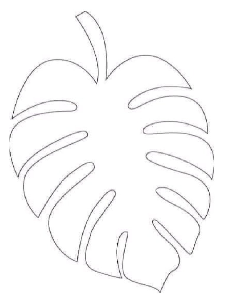 Hojas de La Selva | PDF