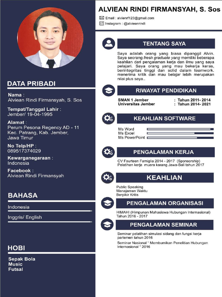 CV ALVIN Compressed | PDF