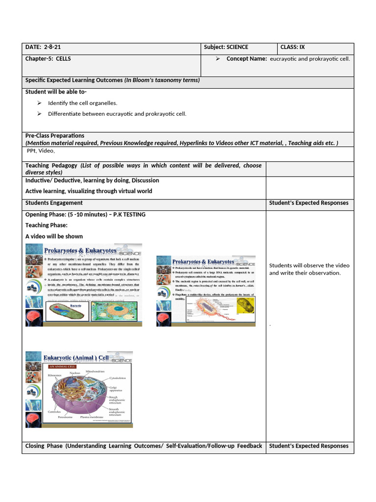 Lesson Plan Grade Ix CH - Cells | PDF | Cell (Biology) | Prokaryote