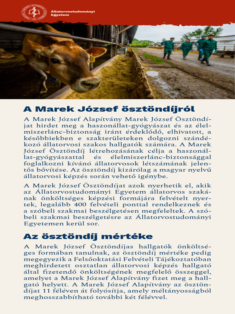 Marek Ösztöndíj LA4 211104 | PDF