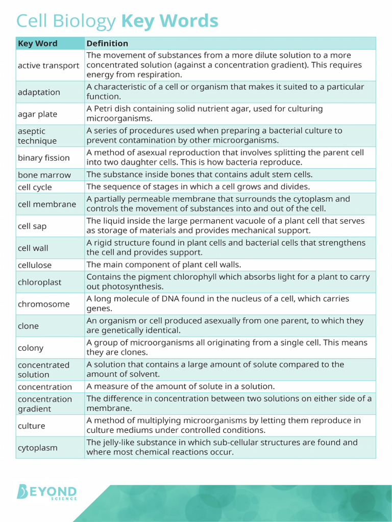 Cell Biology Key Words Display Poster A4 | PDF