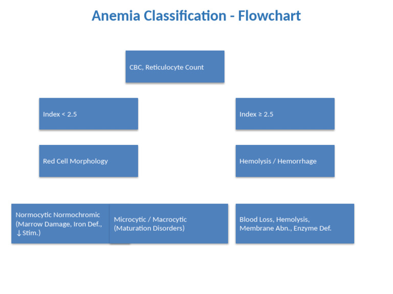 Anemia Classification Flowchart | PDF