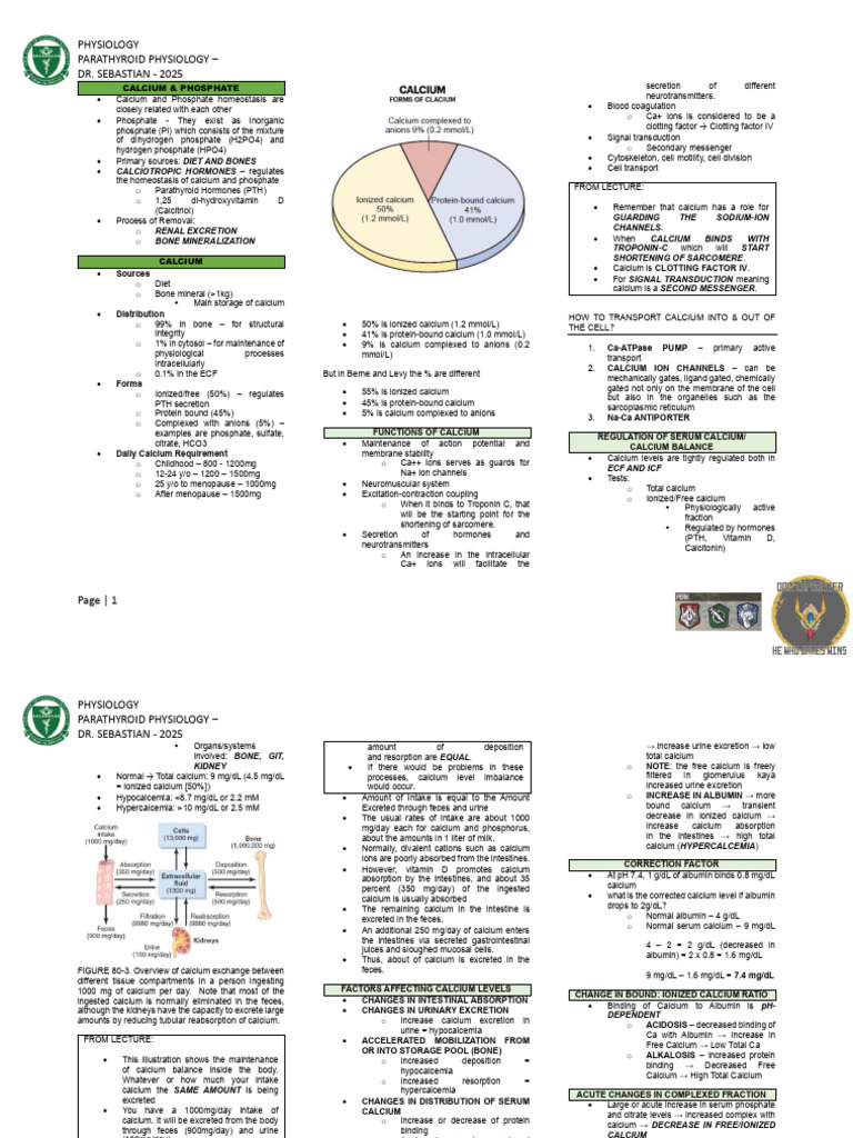 Parathyroid Physiology and Calcium Balance | PDF | Bone | Osteoblast