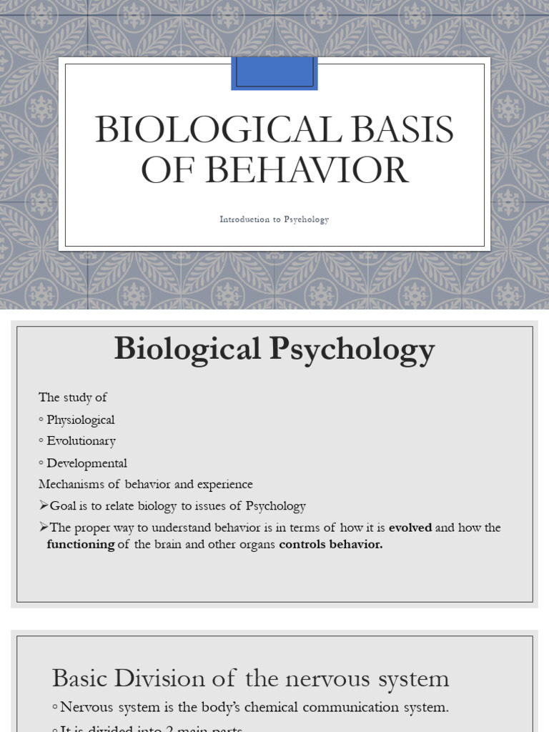 Body Coordination in Biological Psychology | PDF | Nervous System ...