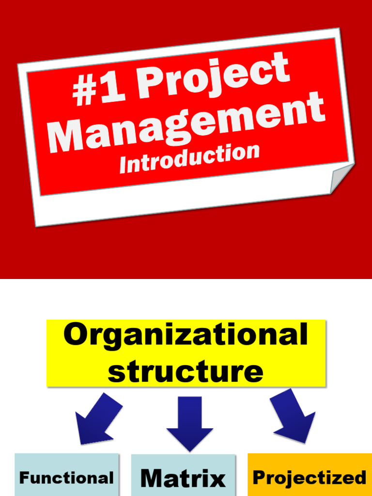 01 Project+Introduction+-+2 | PDF | Project Management | Organizational ...