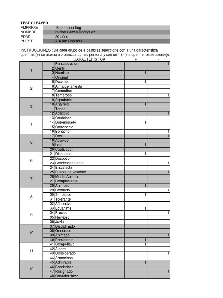 Test Cleaver Personal | PDF