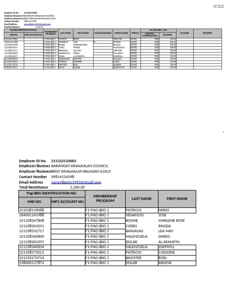 Pag-IBIG Remittance Summary 2024 | PDF | Public Finance