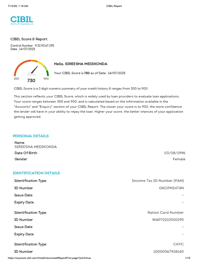 Cibil Report | PDF | Credit | Finance & Money Management