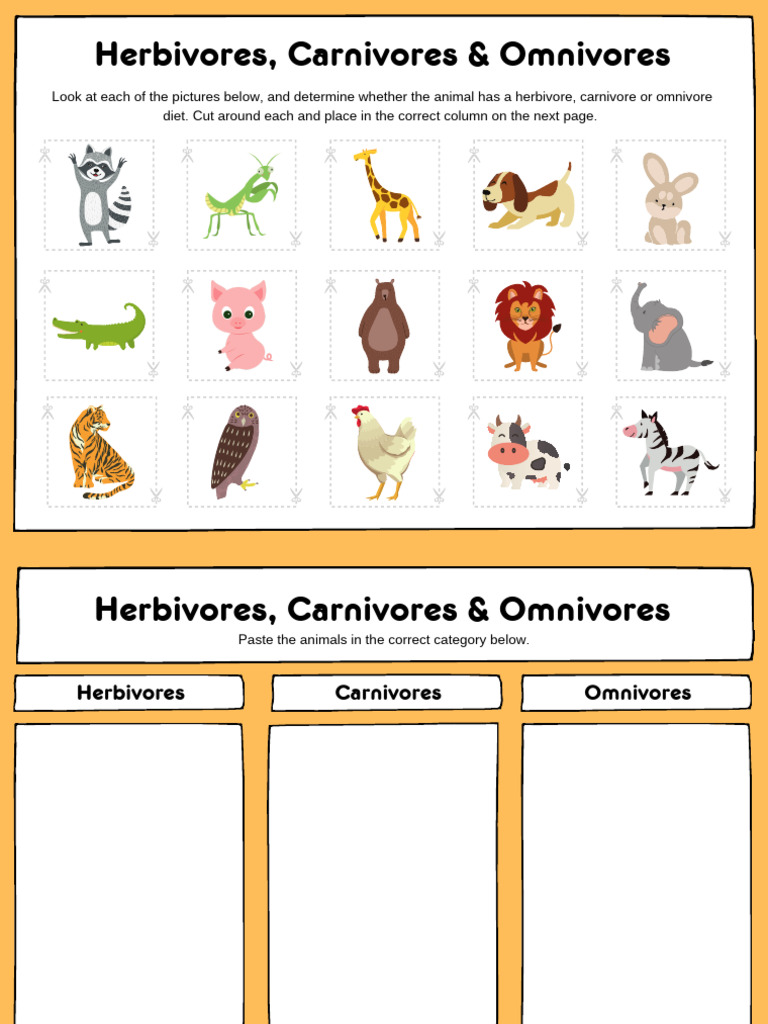 Animal Diet Sorting Activity | PDF