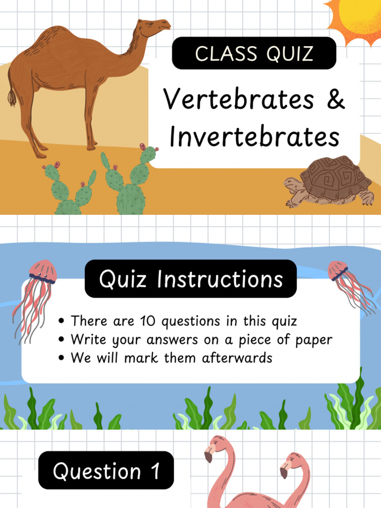 Vertebrates and Invertebrates Quiz Presentation in An Illustrative ...