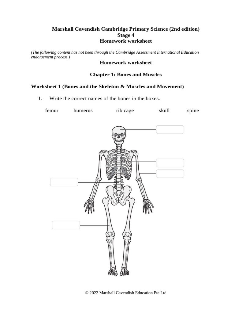 MCE Cambridge Primary Science 2E Stage4 HW WS C01 | PDF | Skeleton | Arm