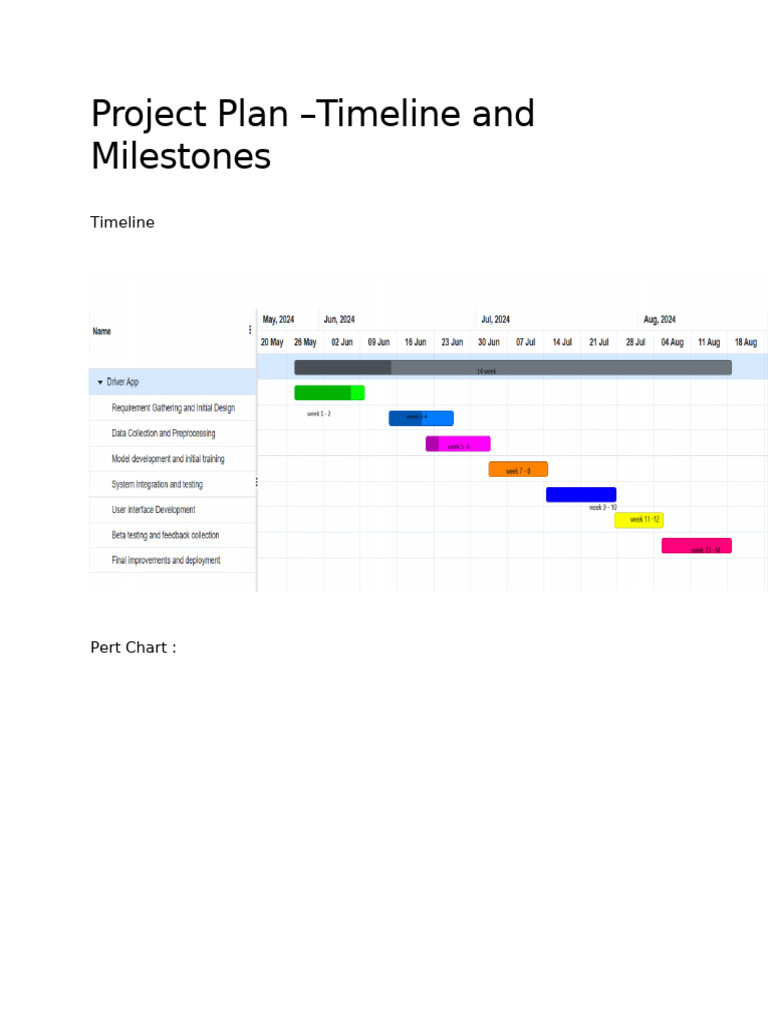 Project Plan - Timeline and Milestones | PDF