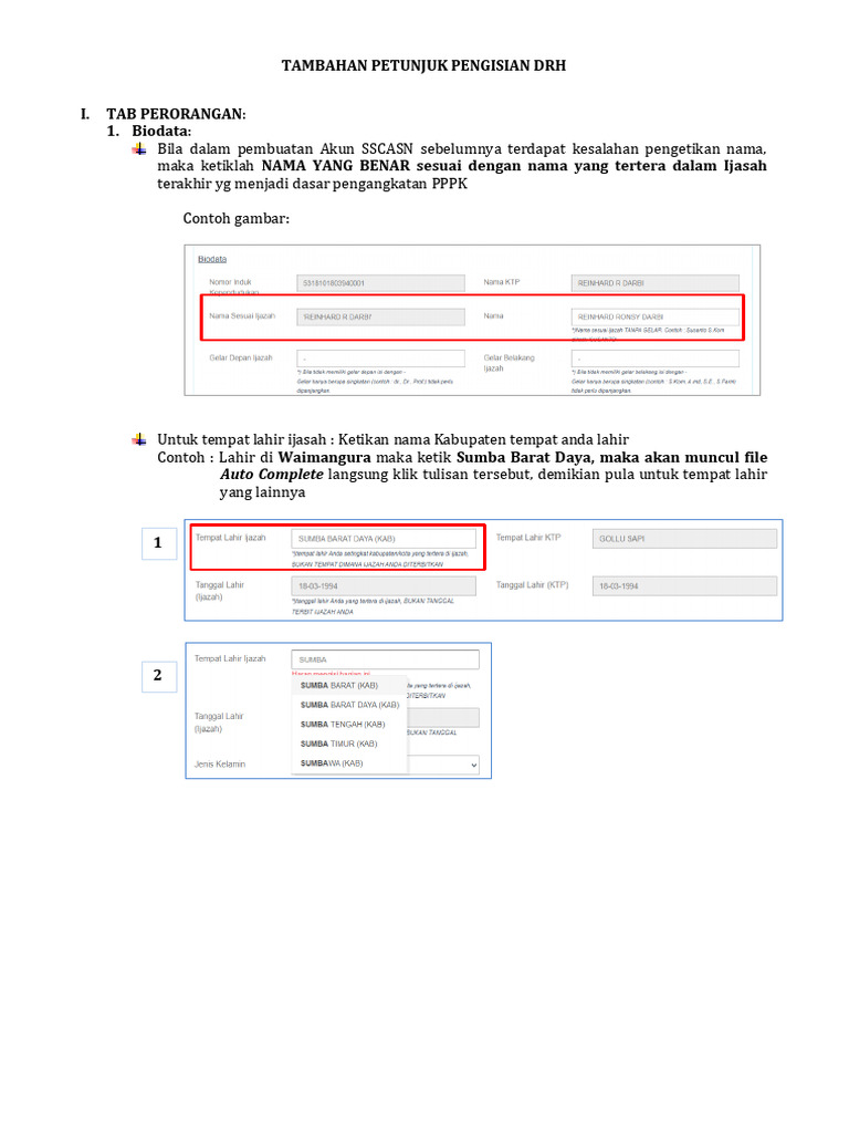 Petunjuk Pengisian DRH PPPK Tahap II | PDF