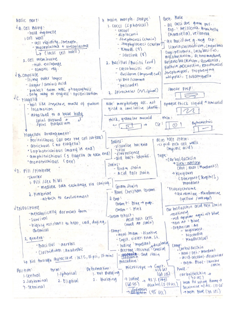 BACTE | PDF