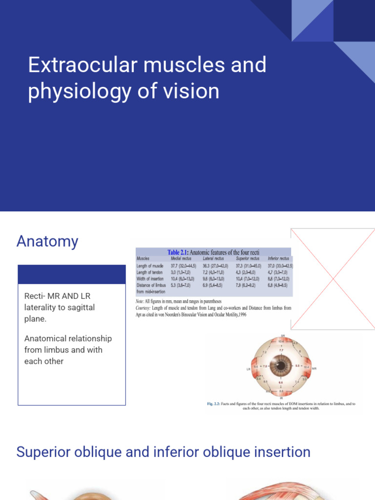 Emo and Physiology of Vision | PDF